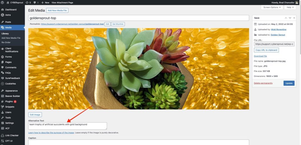 The Beginner's Guide to Alternative Text - CYBERsprout