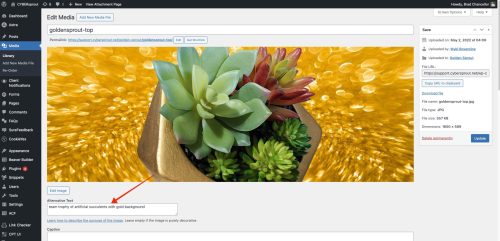 The Beginner's Guide to Alternative Text - CYBERsprout