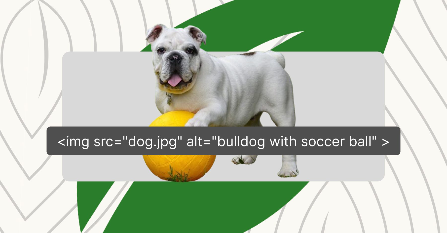 The Beginner's Guide to Alternative Text - CYBERsprout