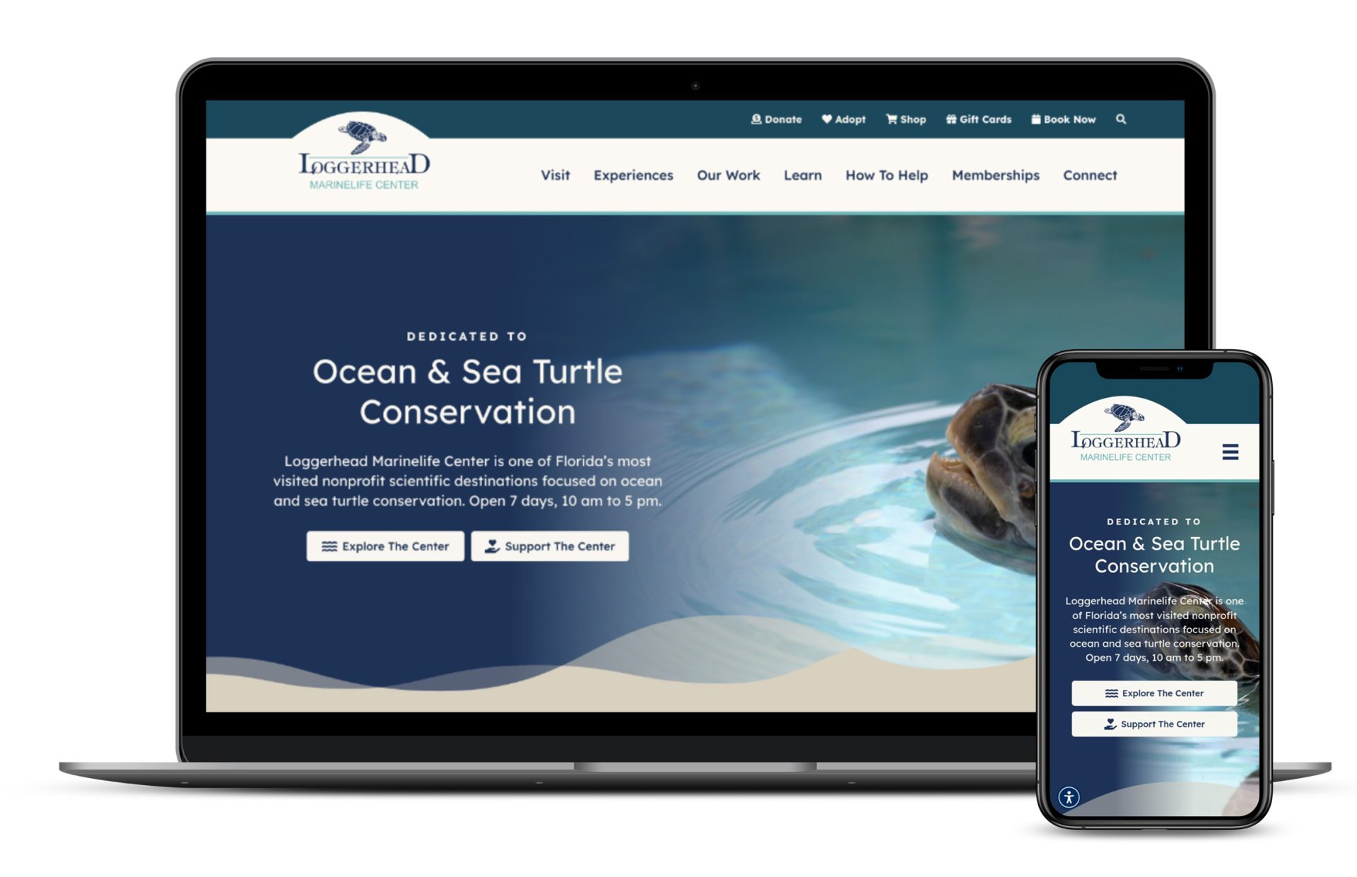 Website case study for Loggerhead Marinelife Center - CYBERsprout